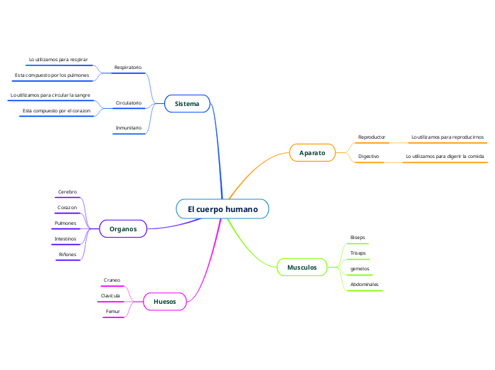 El cuerpo humano - Mind Map